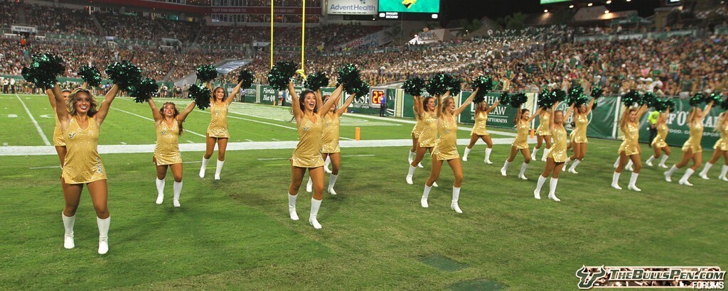 The Bulls Pen, Home of the USF Bulls