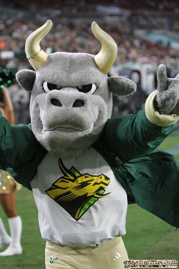 The Bulls Pen, Home of the USF Bulls