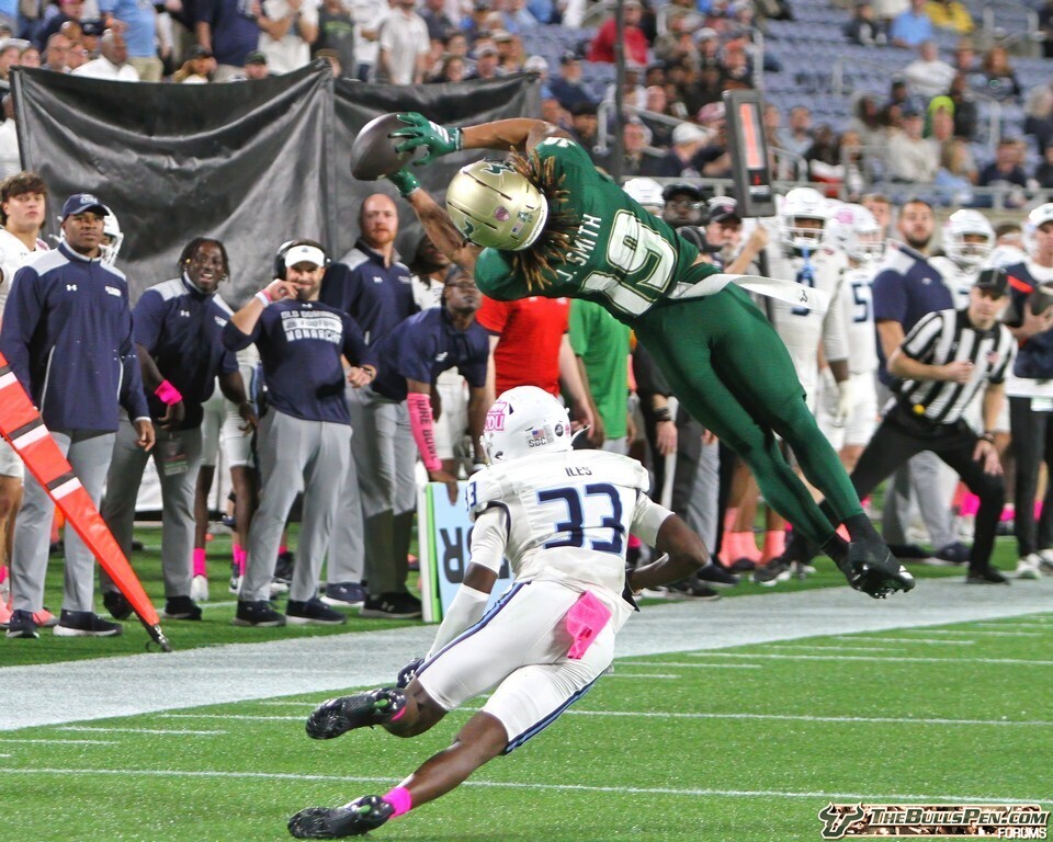The Bulls Pen, Home of the USF Bulls